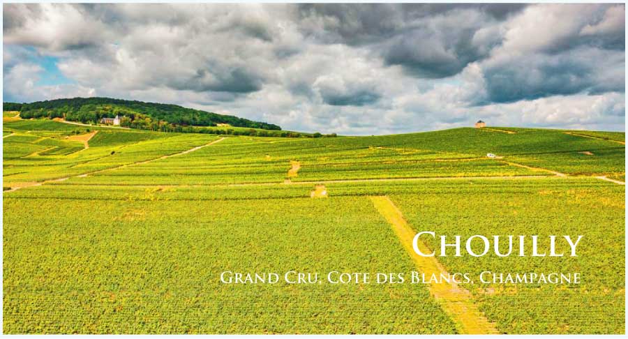 シュイイ (Chouilly) ワイン通販 レ・ブルジョン